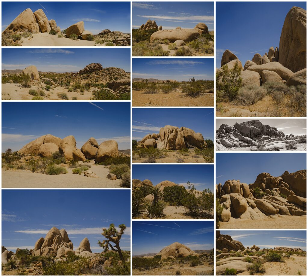 Elopement Locations in Joshua Tree | Where to Get Married